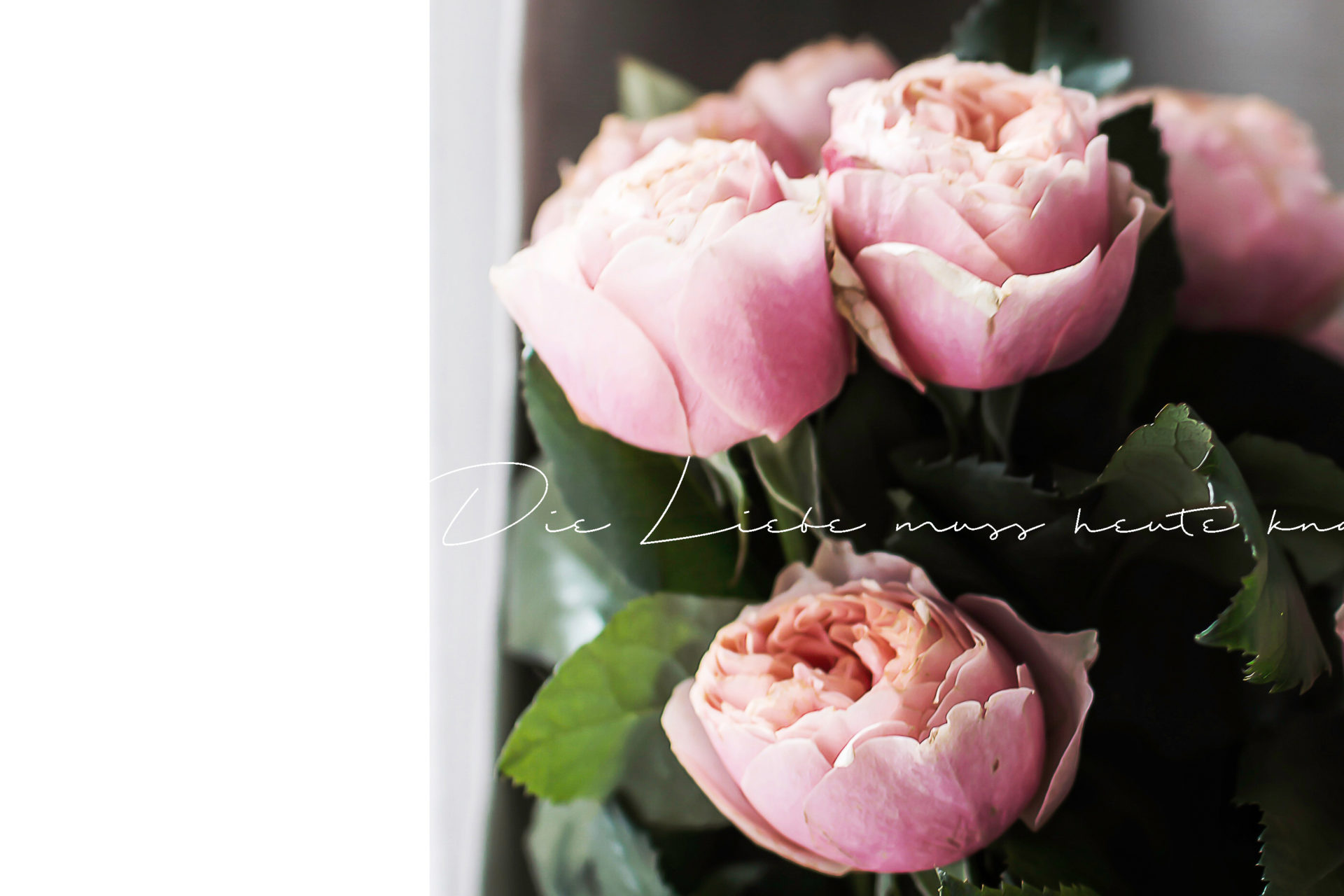 Zum Valentinstag: Was ist echte Liebe? - zukkermädchen