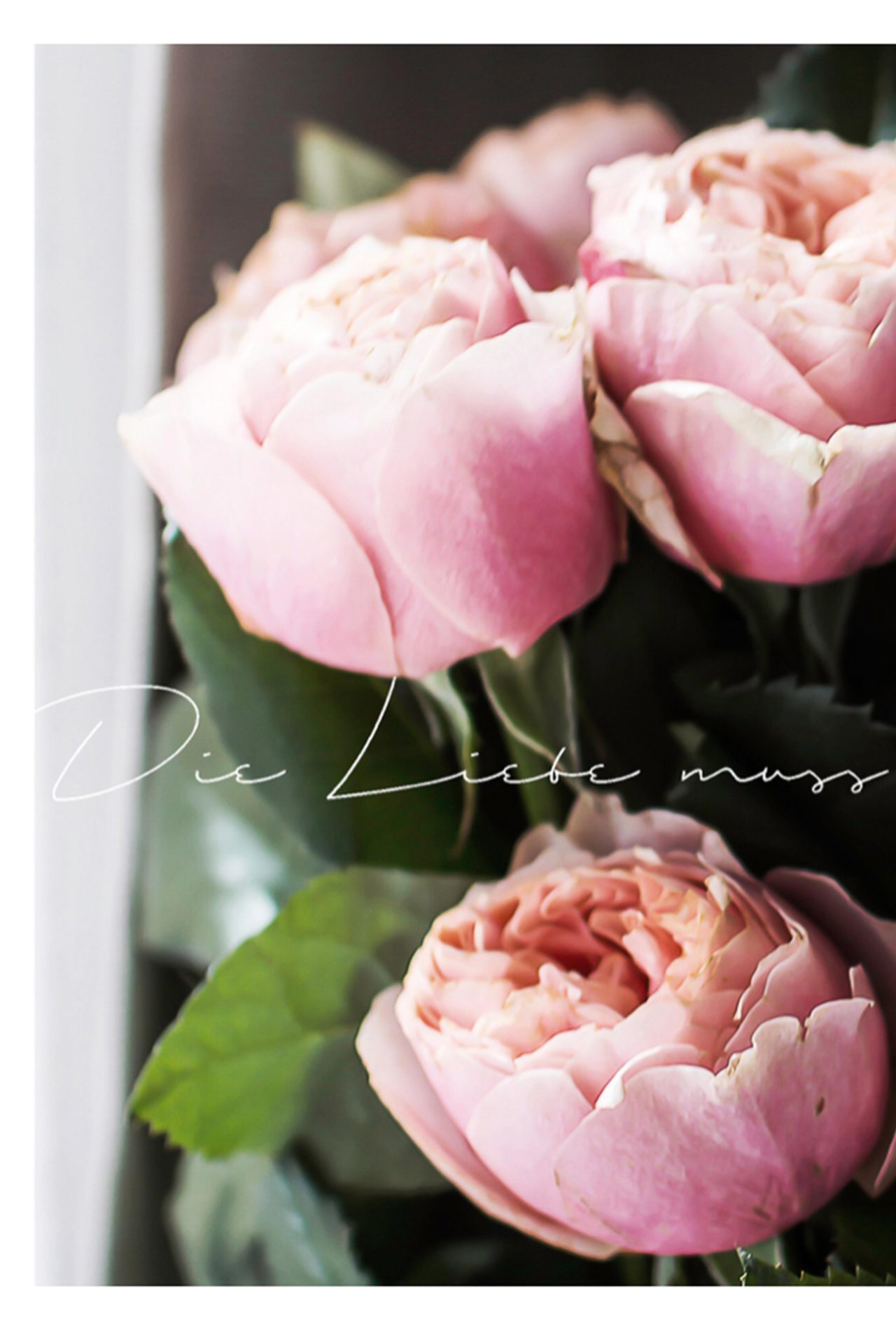 Zum Valentinstag: Was ist echte Liebe? - zukkermädchen